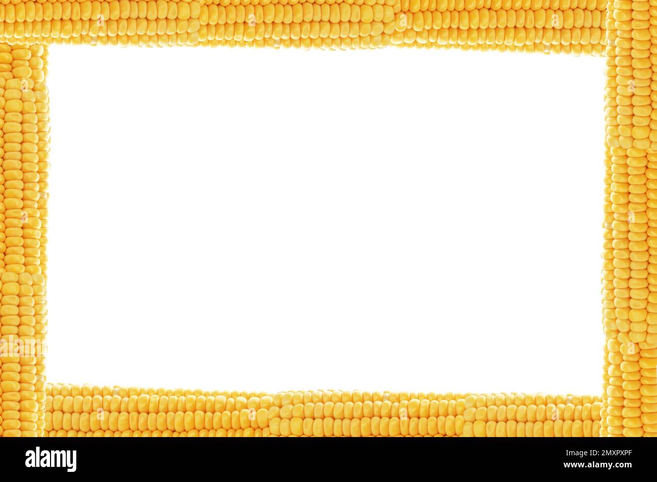 Frame of corn cobs on white background Stock Photo - Alamy