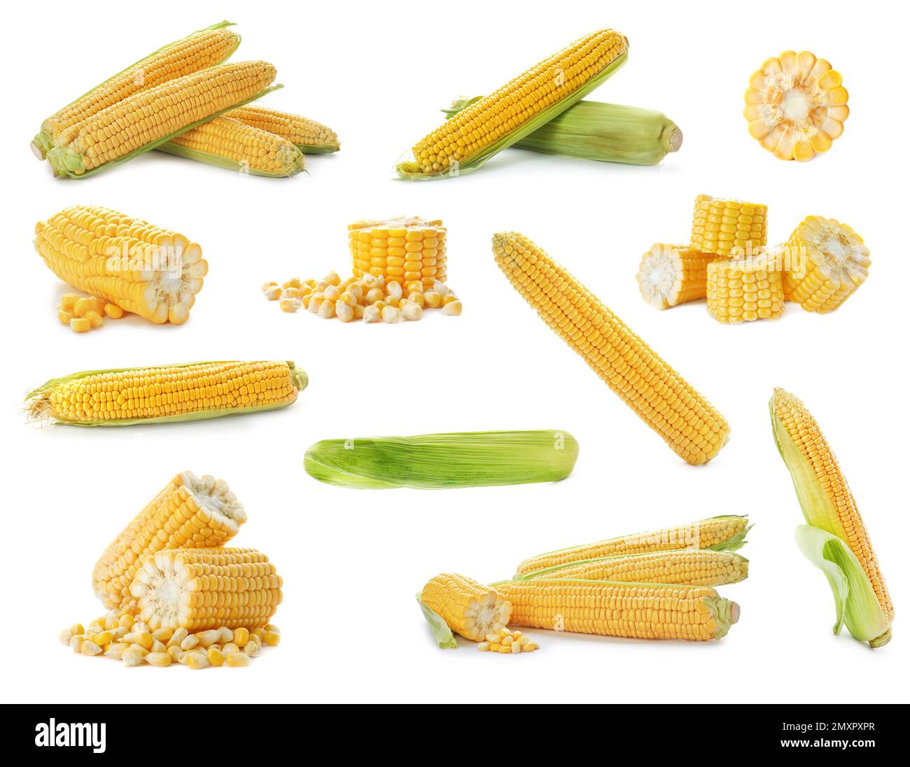 Collage with corn cobs on white background Stock Photo - Alamy