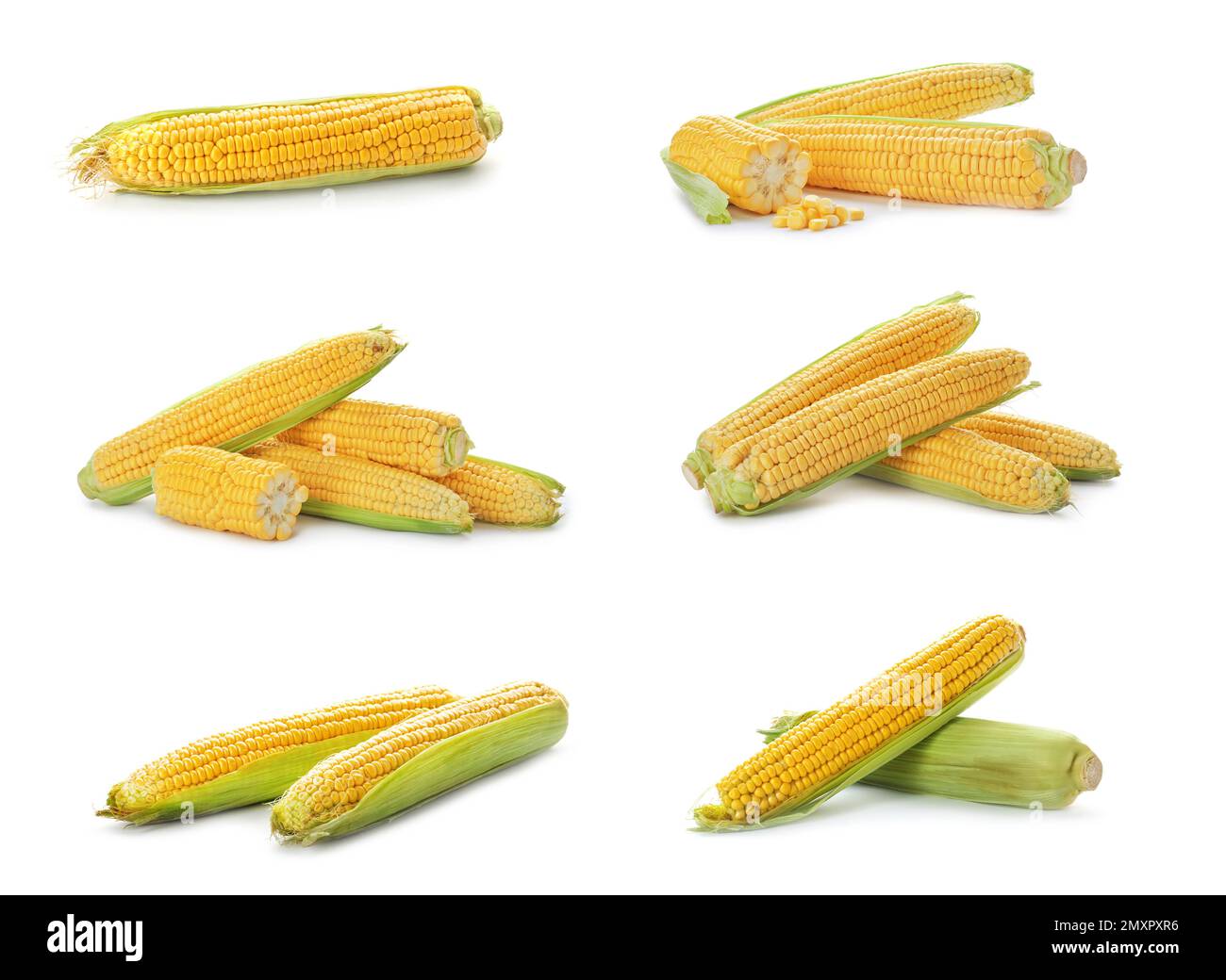 Set of ripe corn cobs on white background Stock Photo - Alamy Set of ripe corn cobs on white background Stock Photo - Alamy