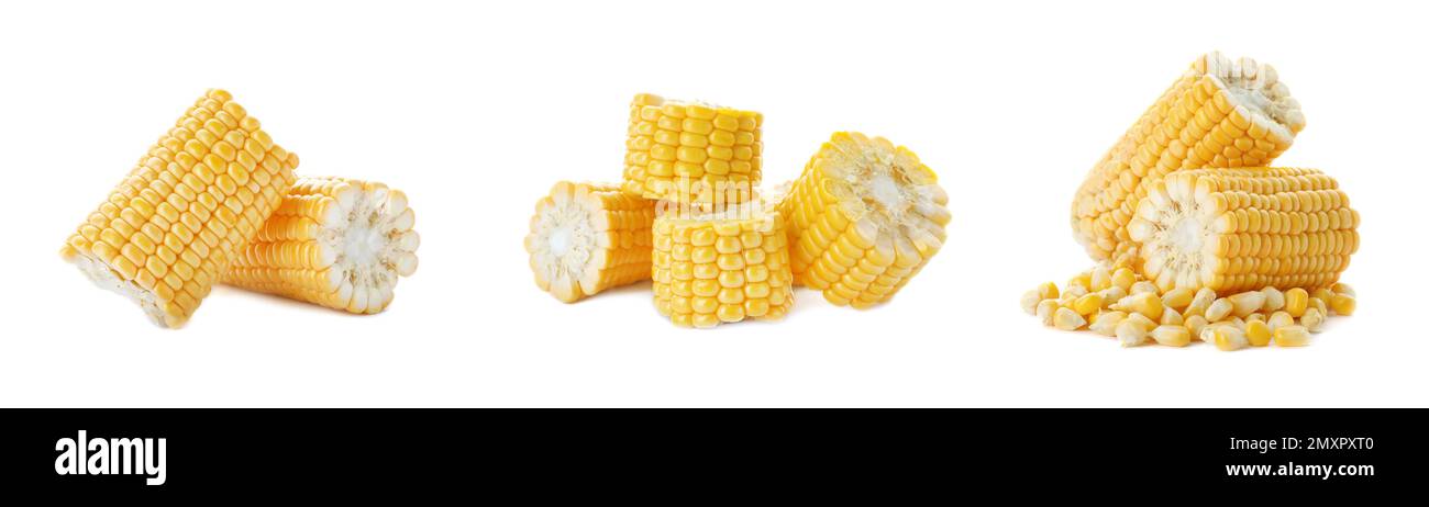 Set of corn cob pieces on white background. Banner design Stock Photo ...
