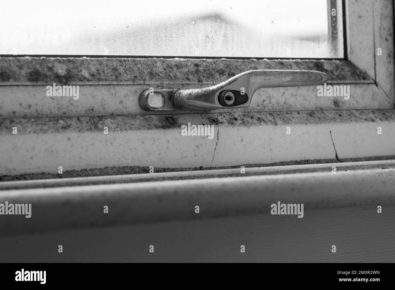 Condensation mould Black and White Stock Photos & Images - Alamy