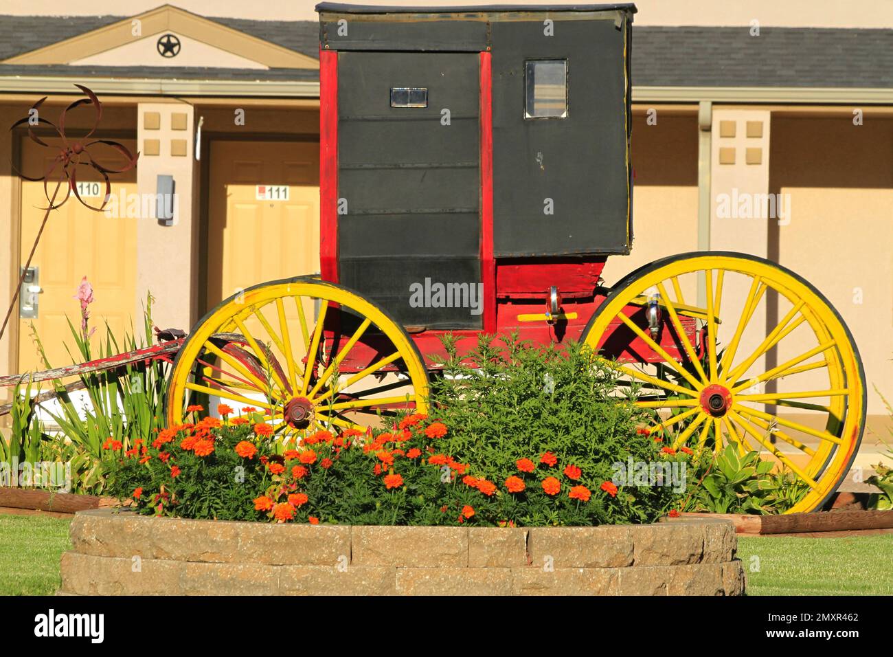 Amish Buggy shot closeup with colorful flowers that's outside Stock ...