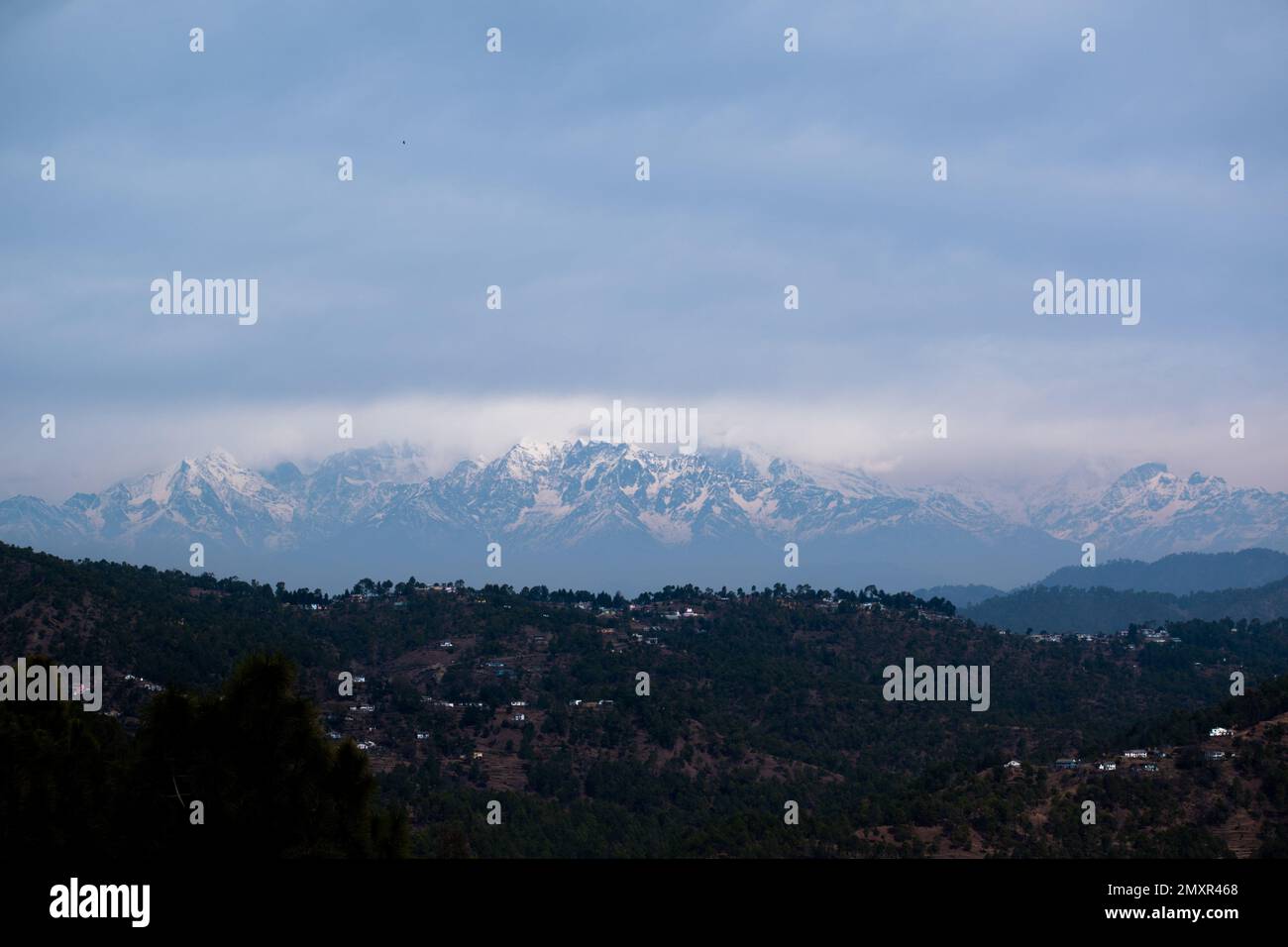 A view of Nanda devi mountain with clouds and pine trees in foreground ...