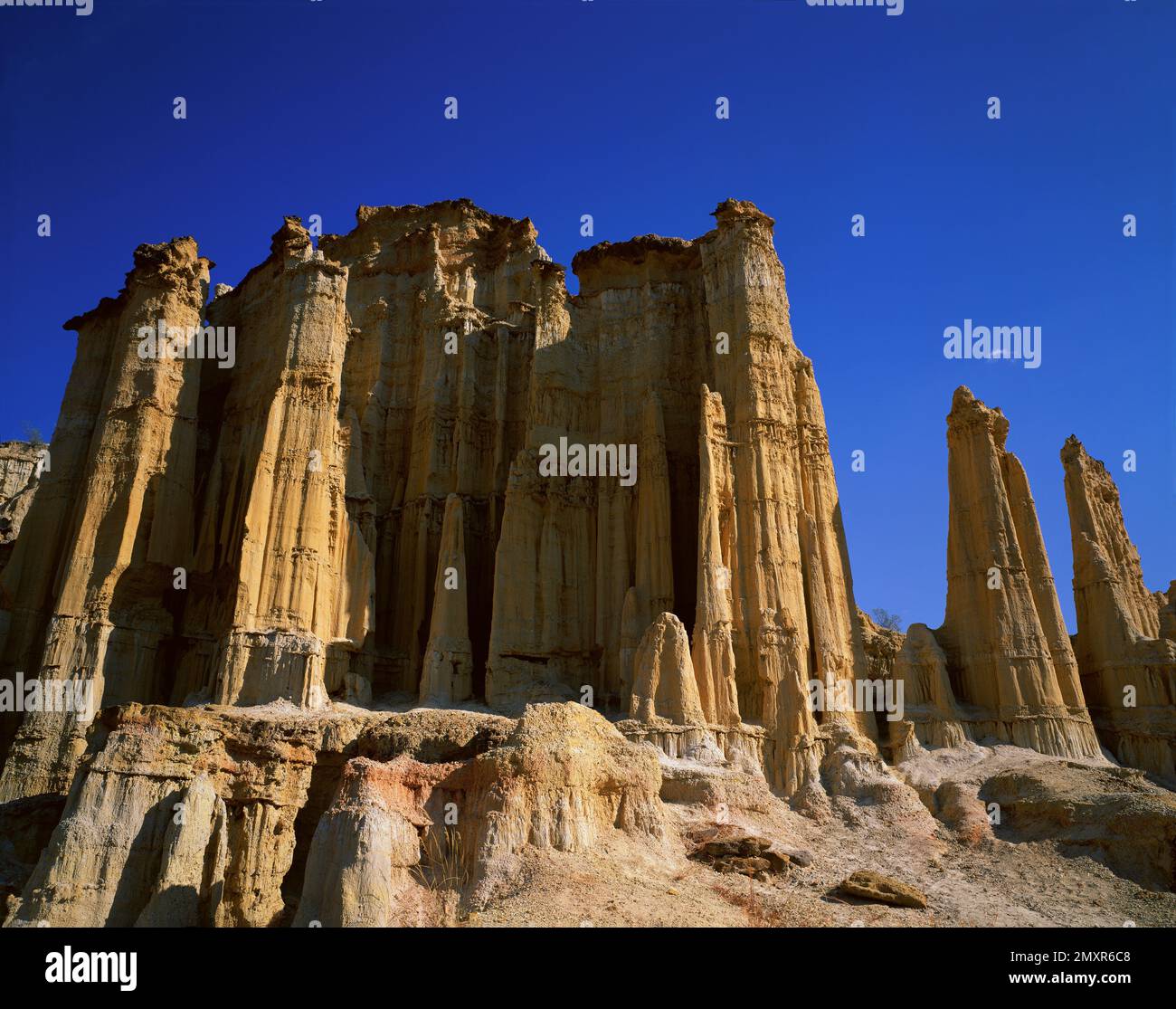 Sesame soil forest in yunnan Stock Photo - Alamy