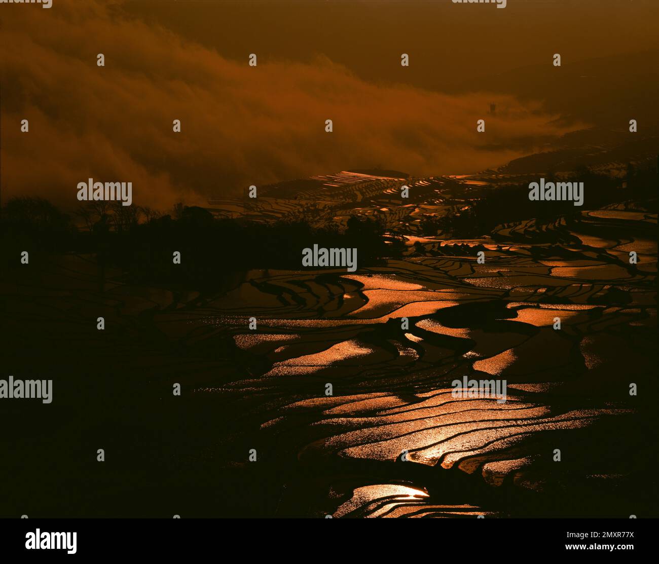 Yuan yang rice fields hi-res stock photography and images - Alamy