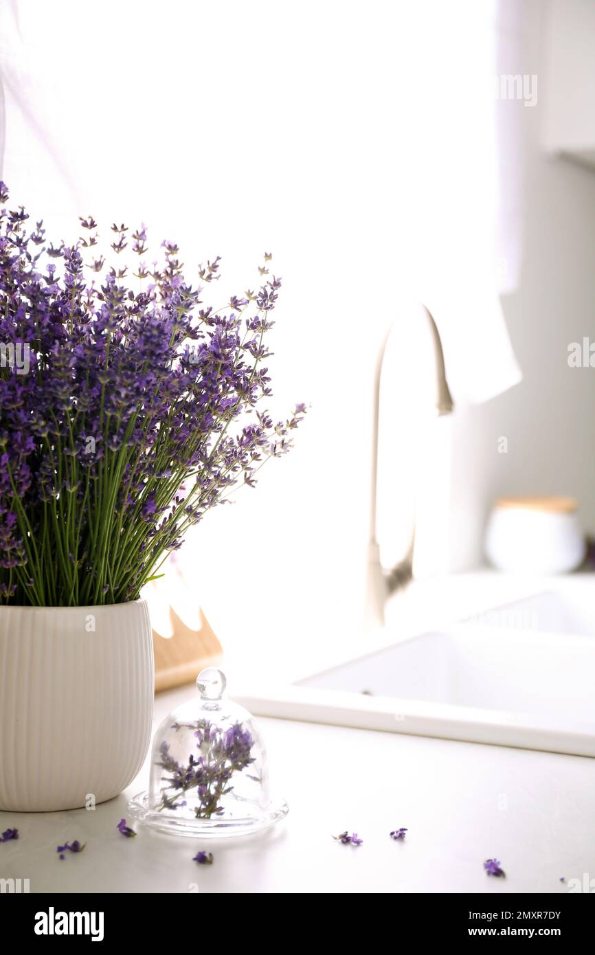 Beautiful lavender flowers on countertop in kitchen. Space for text ...