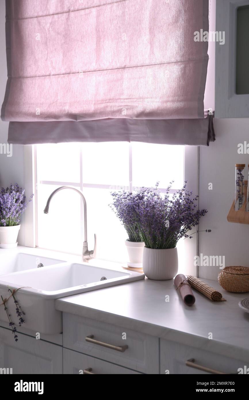 Beautiful lavender flowers on countertop near sink in kitchen Stock ...