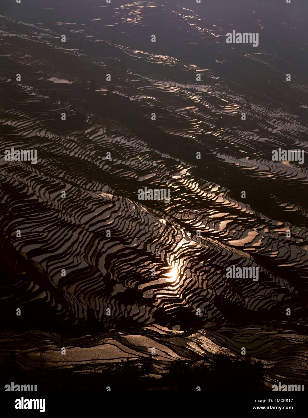 Yunnan yuan Yang terraces Stock Photo - Alamy