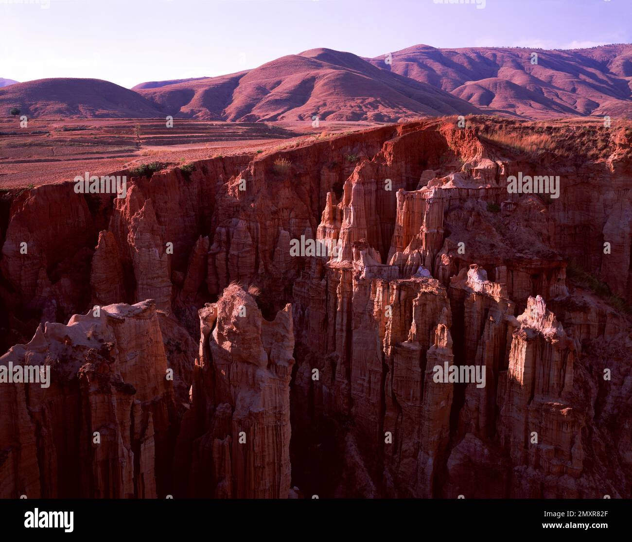 Sesame soil forest in yunnan Stock Photo - Alamy