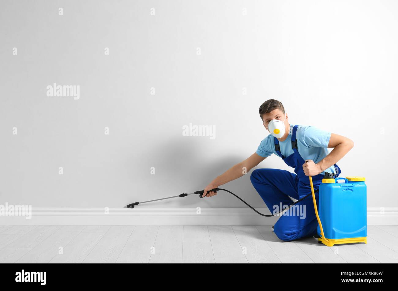Pest control worker spraying pesticide in room. Space for text Stock ...