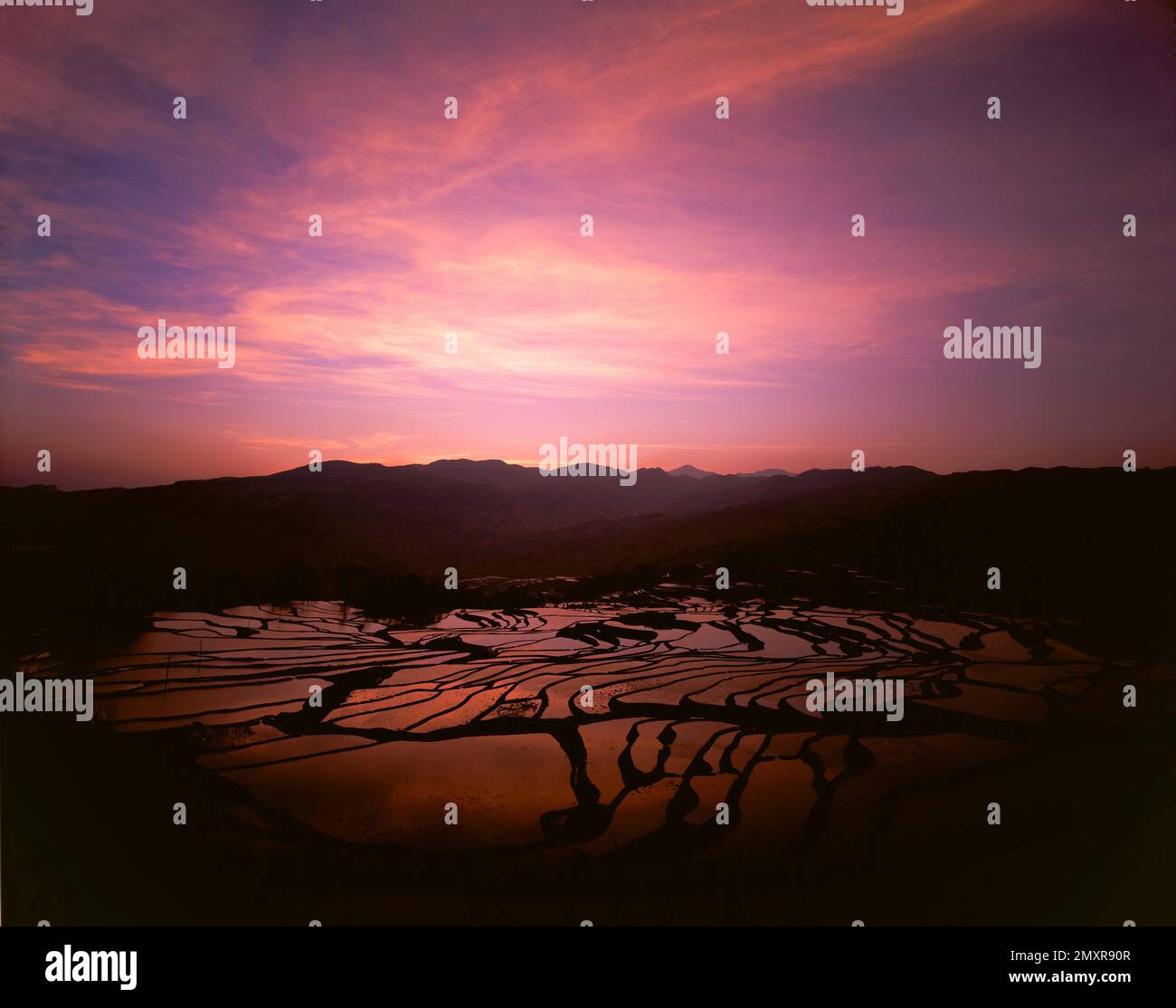 Yunnan yuan Yang Stock Photo - Alamy
