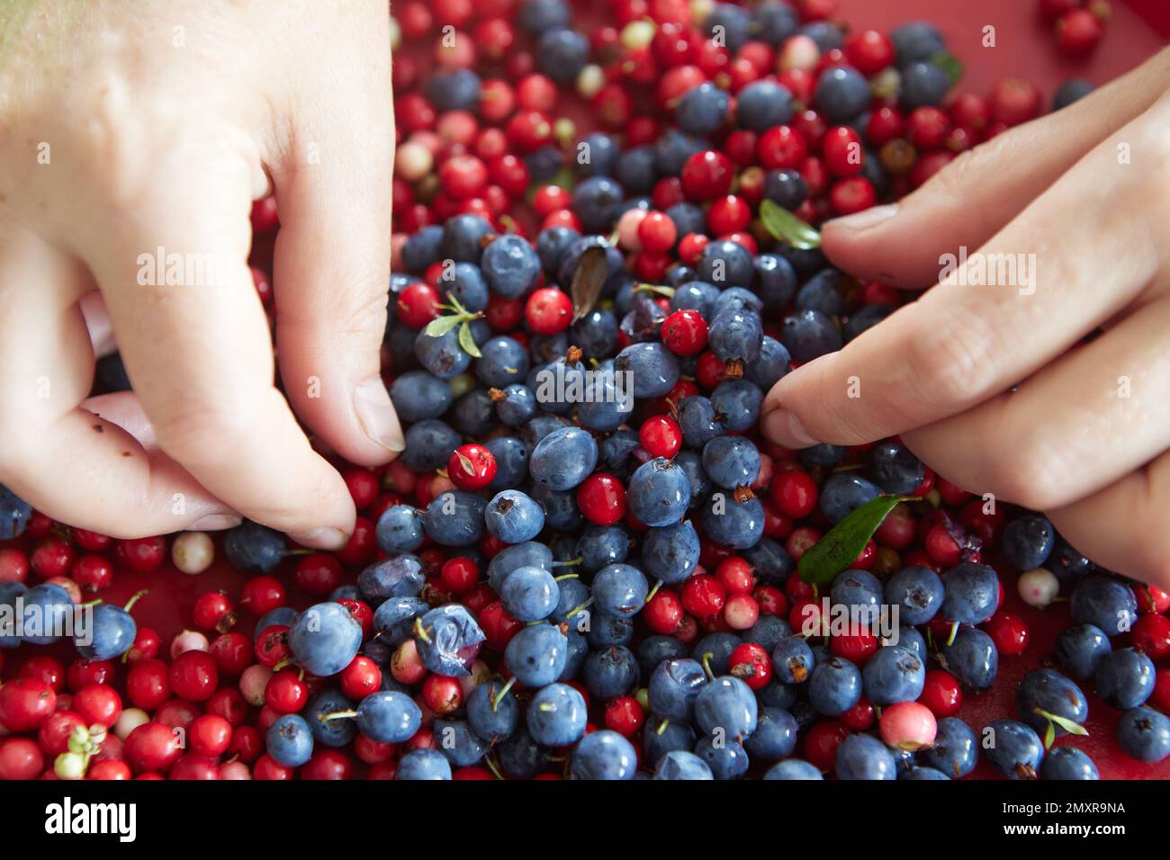 Triage sort hi-res stock photography and images - Alamy