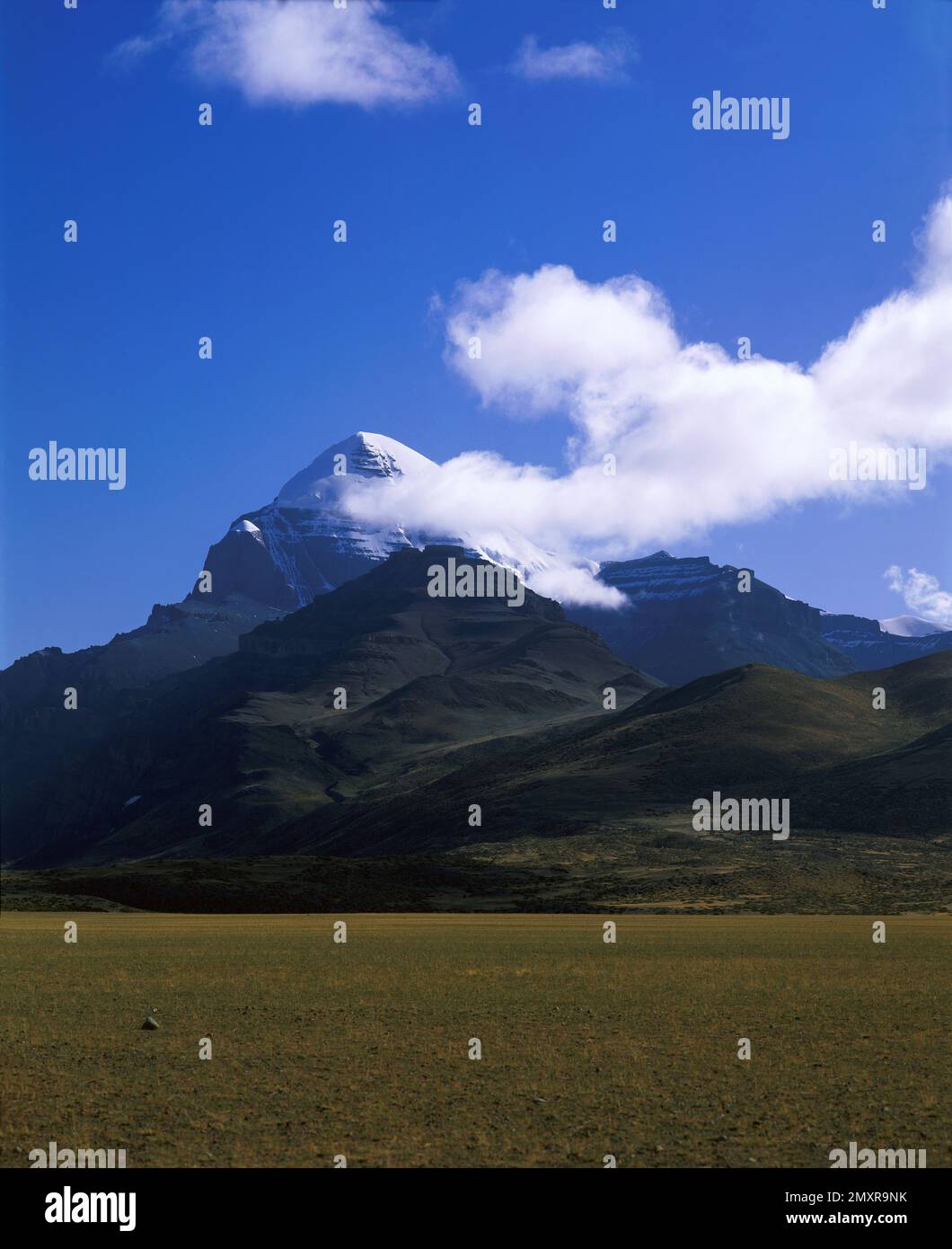 Tibetan rinpoche qi hi-res stock photography and images - Alamy