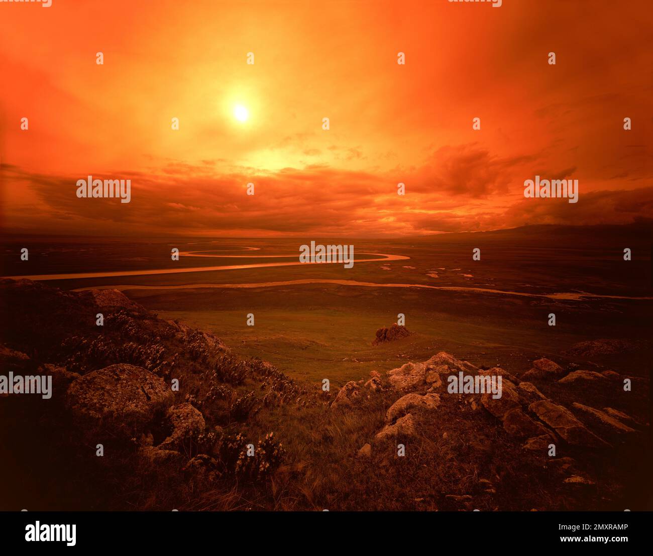 Kaidu river swan lake in xinjiang hi-res stock photography and images ...