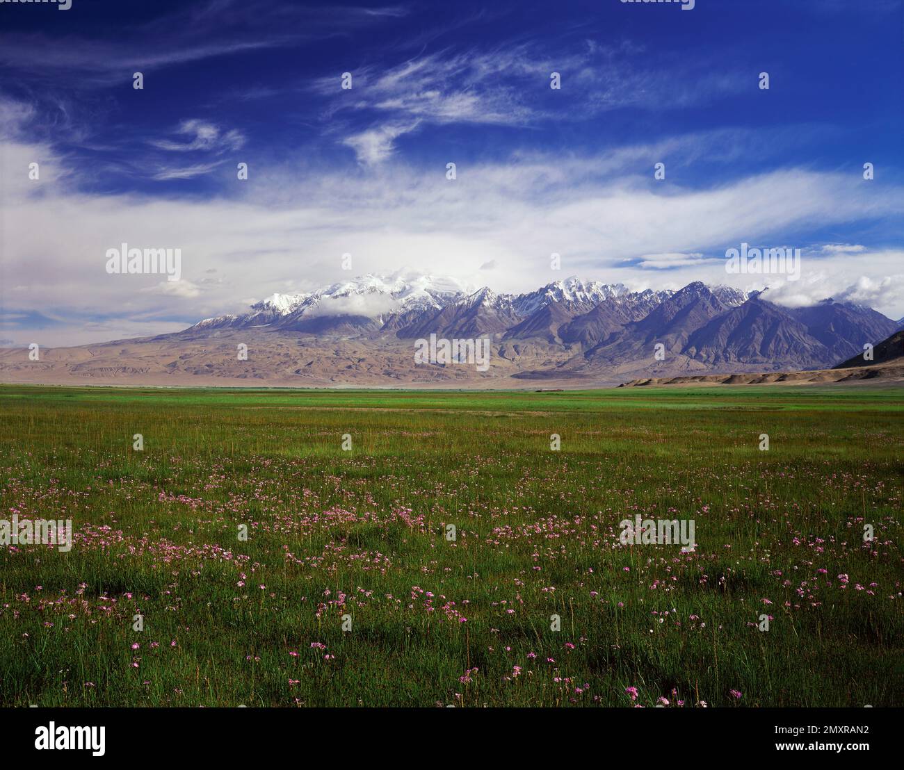 Chinese pamirs in xinjiang muztagh ata peak hi-res stock photography ...