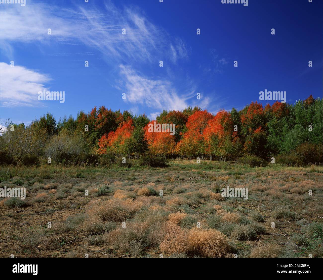 Kuqa xinjiang scenery hi-res stock photography and images - Alamy