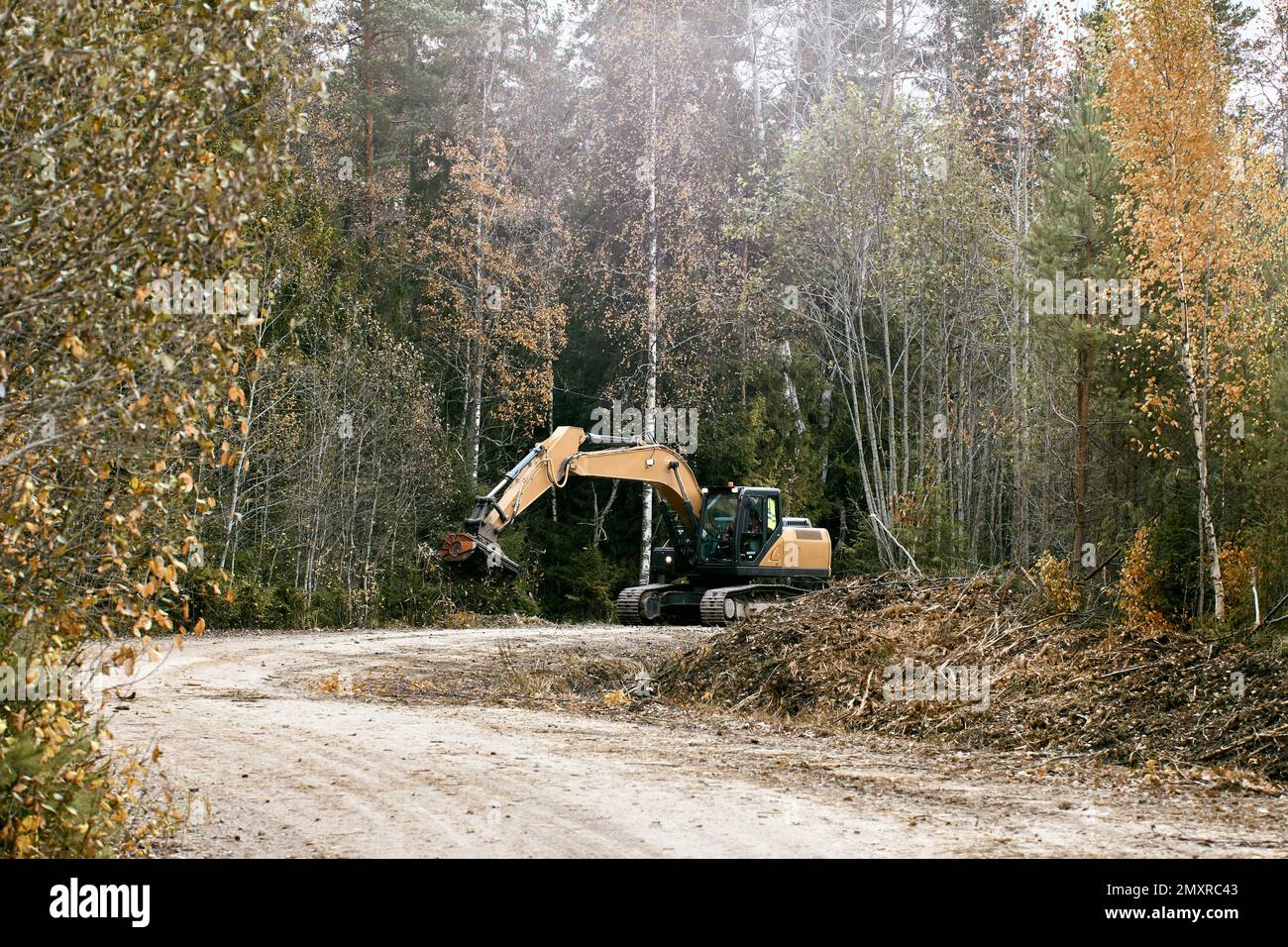 Vegetation removal with excavator forestry mulcher head Stock Photo - Alamy