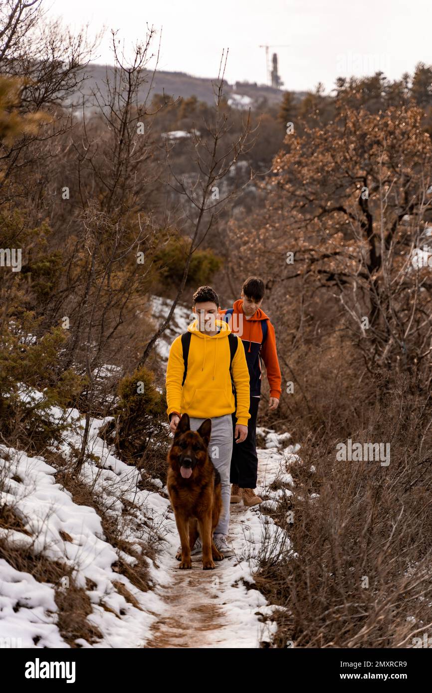Amazing and handsome male friends are walking with the dog together ...