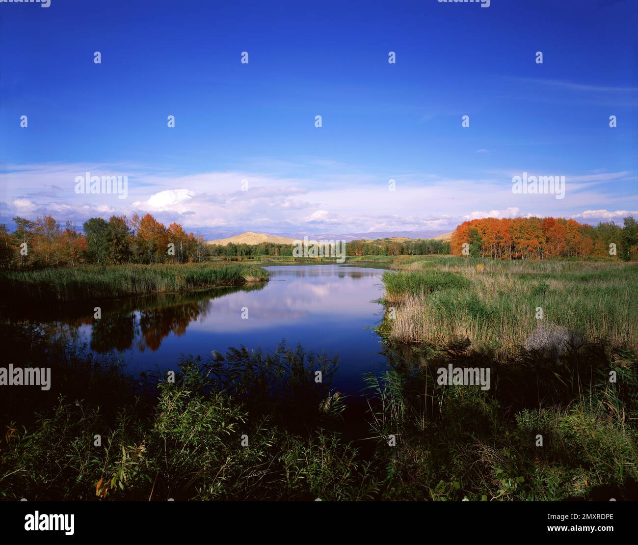 Baisha lake hi-res stock photography and images - Alamy