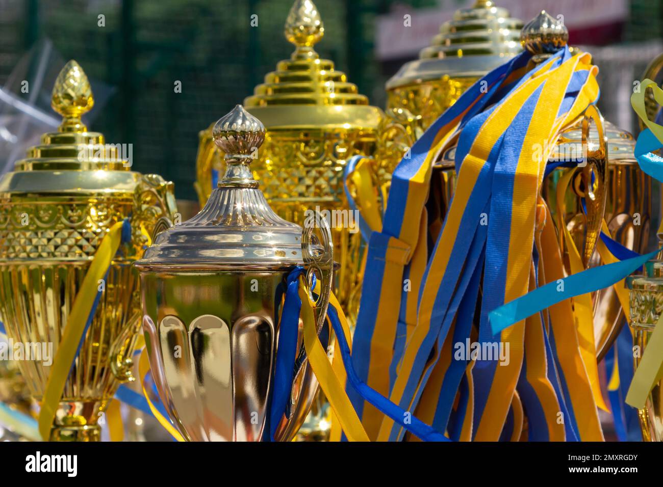 Golden winner's cups with yellow and blue ribbons prepared for awards ...