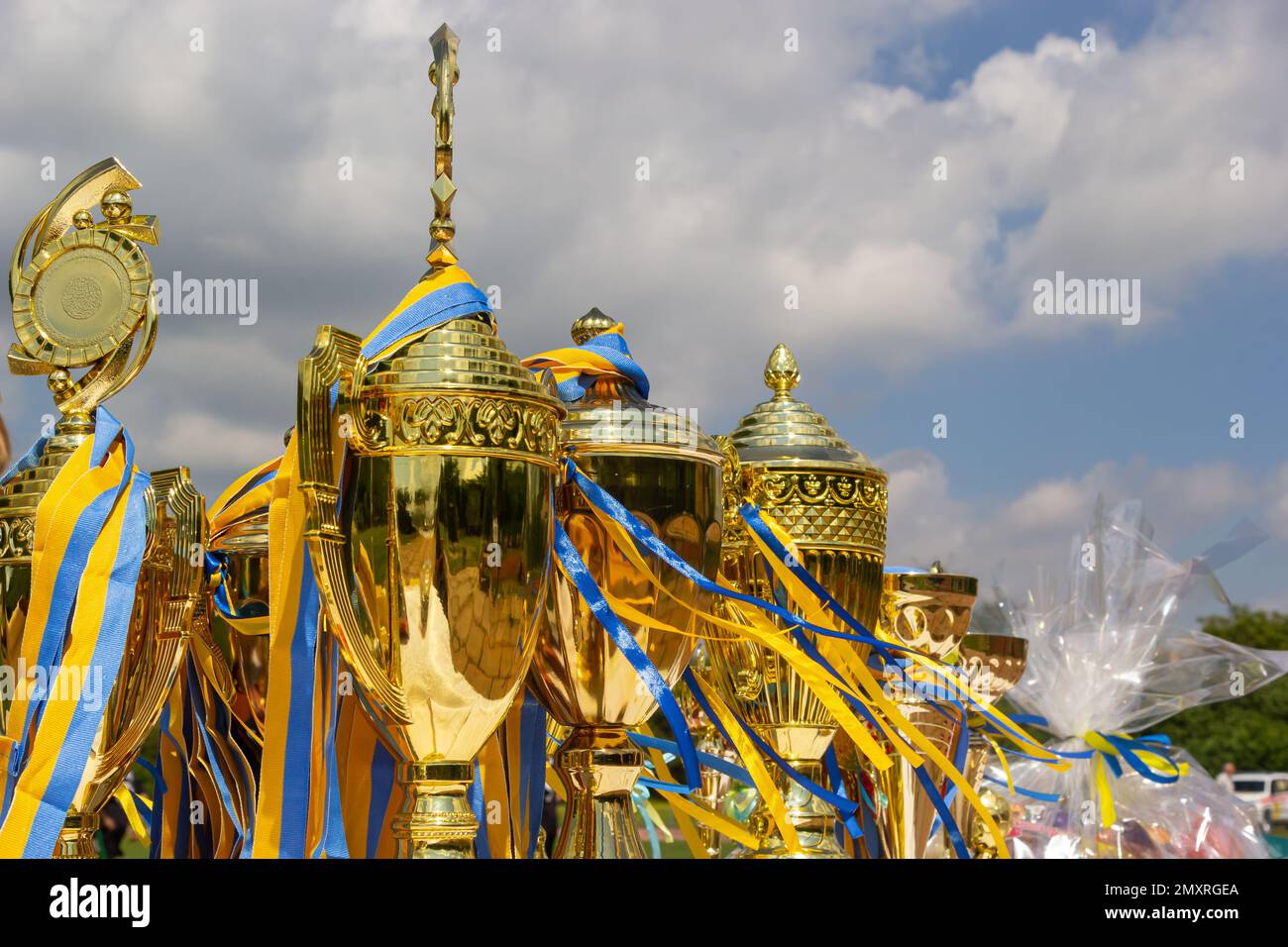 Cup trophy blue background hi-res stock photography and images - Alamy