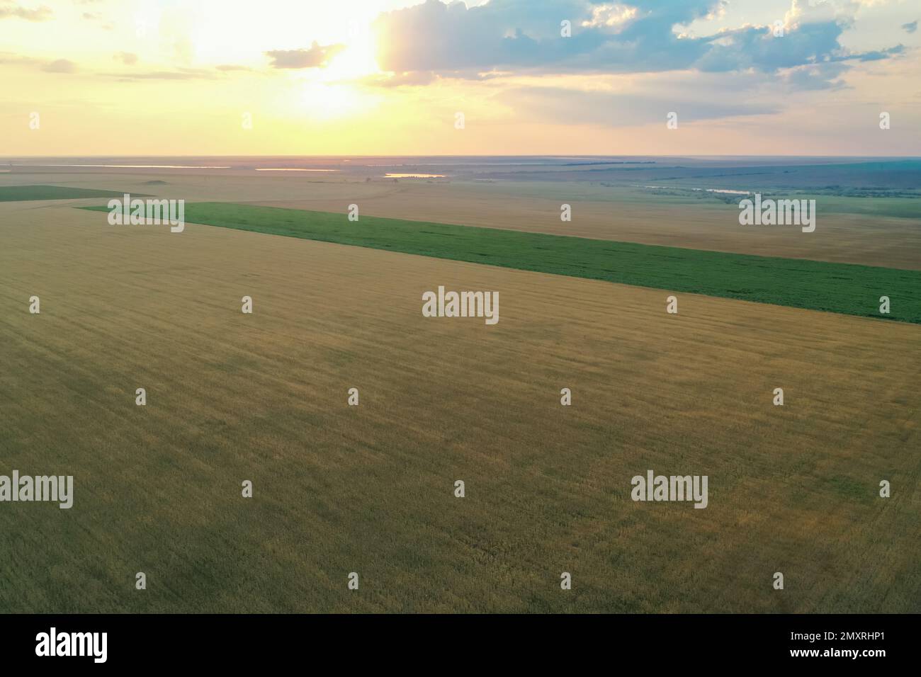 Aerial view of yellow mowed field outdoors. Agricultural industry Stock ...