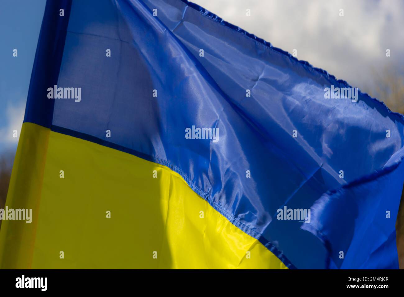 Ukrainian flag in the wind on blue sky background. Large national ...