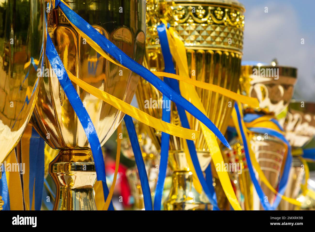 Golden winner's cups with yellow and blue ribbons prepared for awards ...