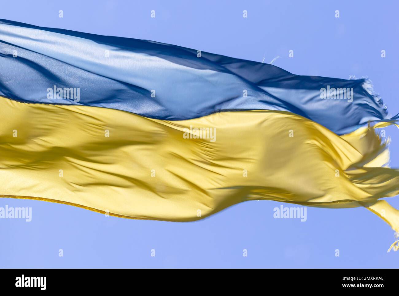 Ukrainian flag waving in wind and sunlight. Flag of Ukraine on blue sky ...