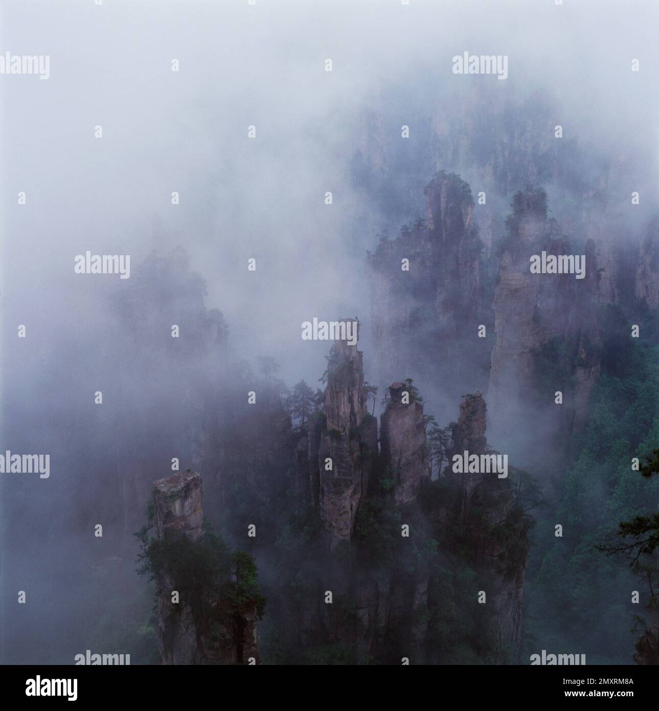 Hunan zhangjiajie tianzi mountain hi-res stock photography and images ...