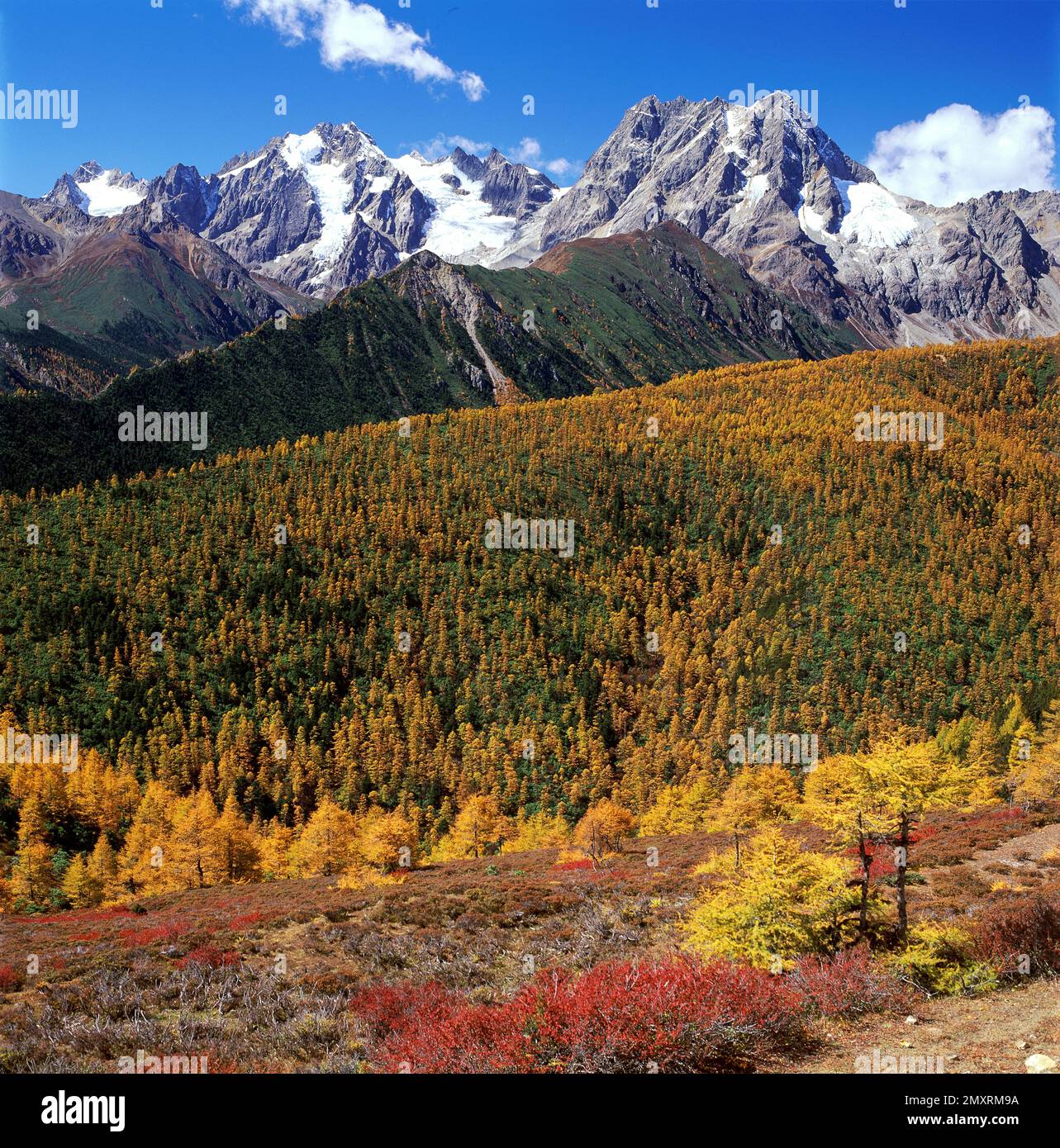 Shangri la baima snow mountain of yunnan hi-res stock photography and ...