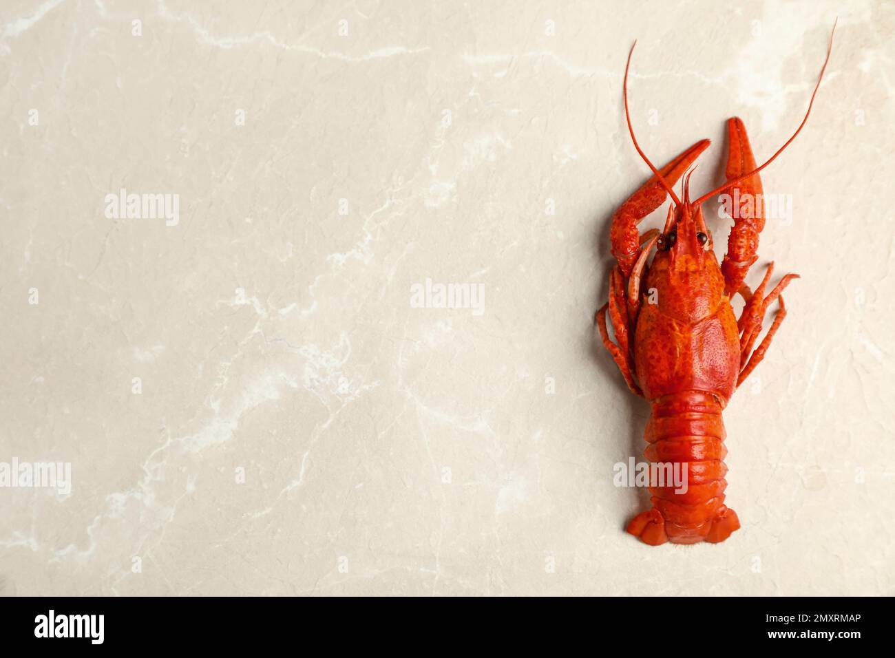Delicious boiled crayfish on light grey marble table, top view. Space ...