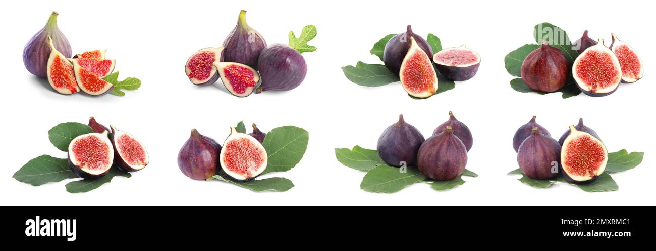 Set of cut and whole figs on white background. Banner design Stock ...