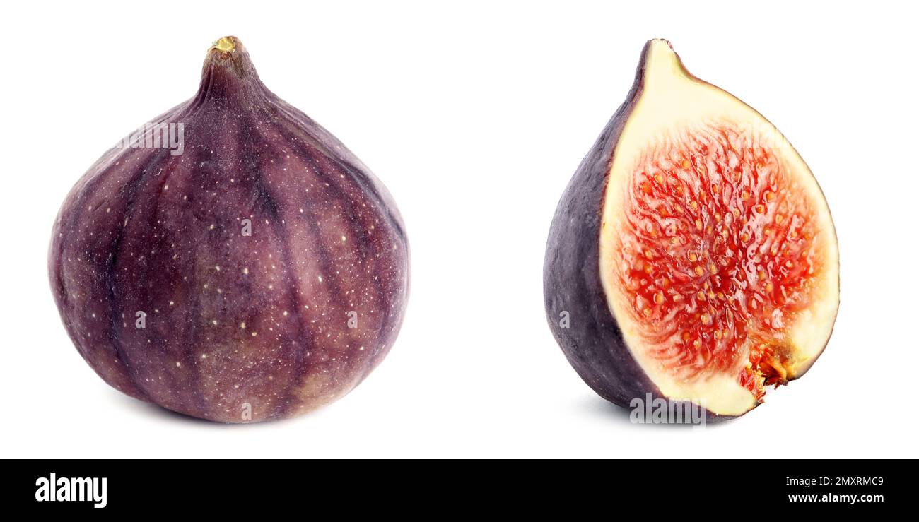 Set of cut and whole figs on white background. Banner design Stock ...