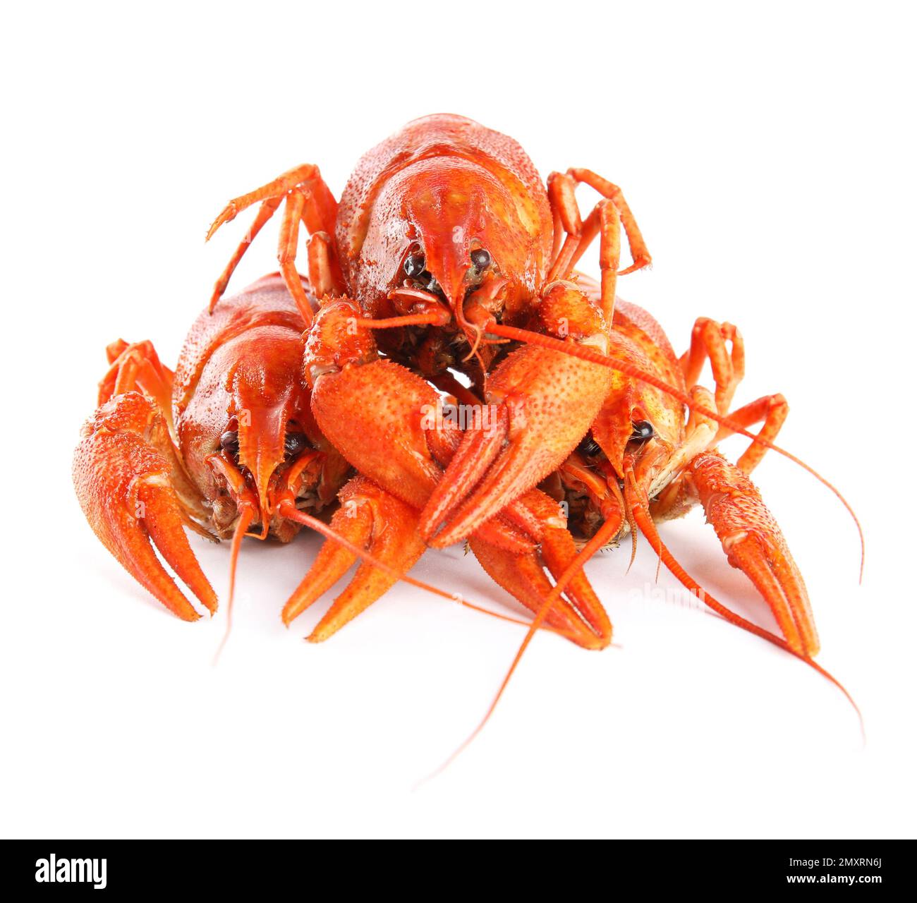 Delicious red boiled crayfishes isolated on white Stock Photo - Alamy