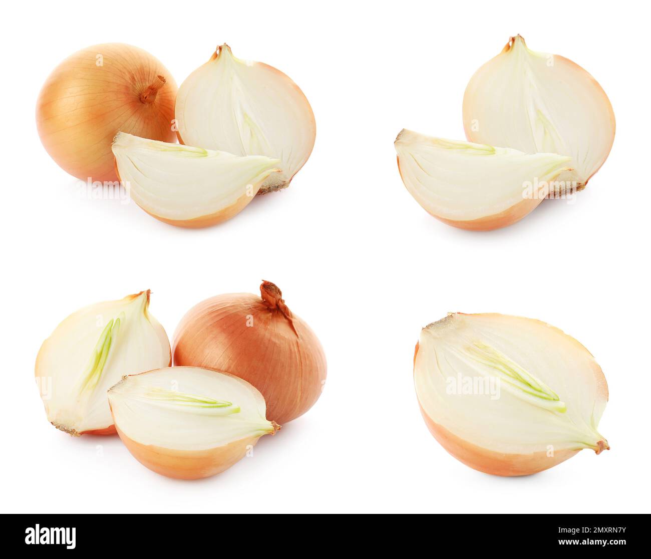 Set of yellow cut and whole onion on white background Stock Photo - Alamy