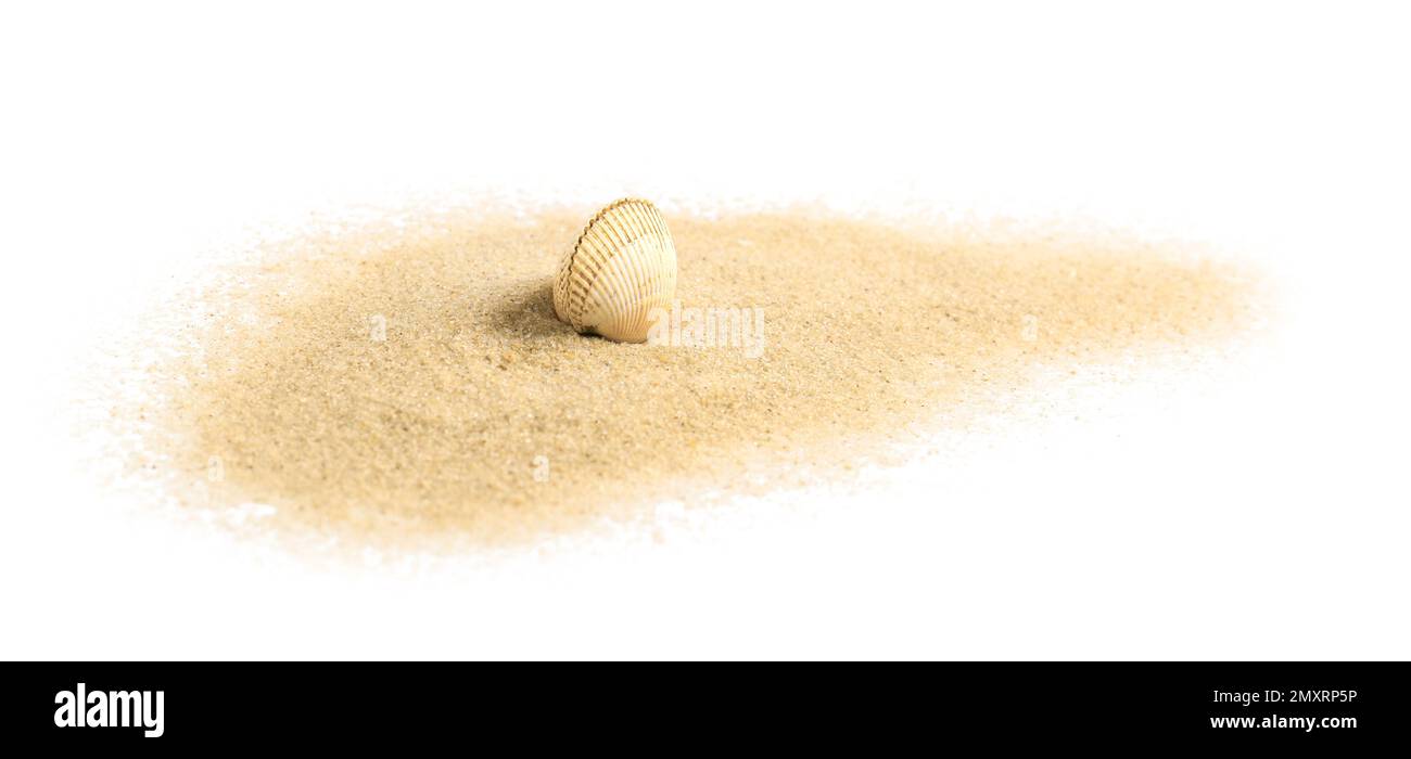 Beautiful sea shell and sand on white background Stock Photo - Alamy