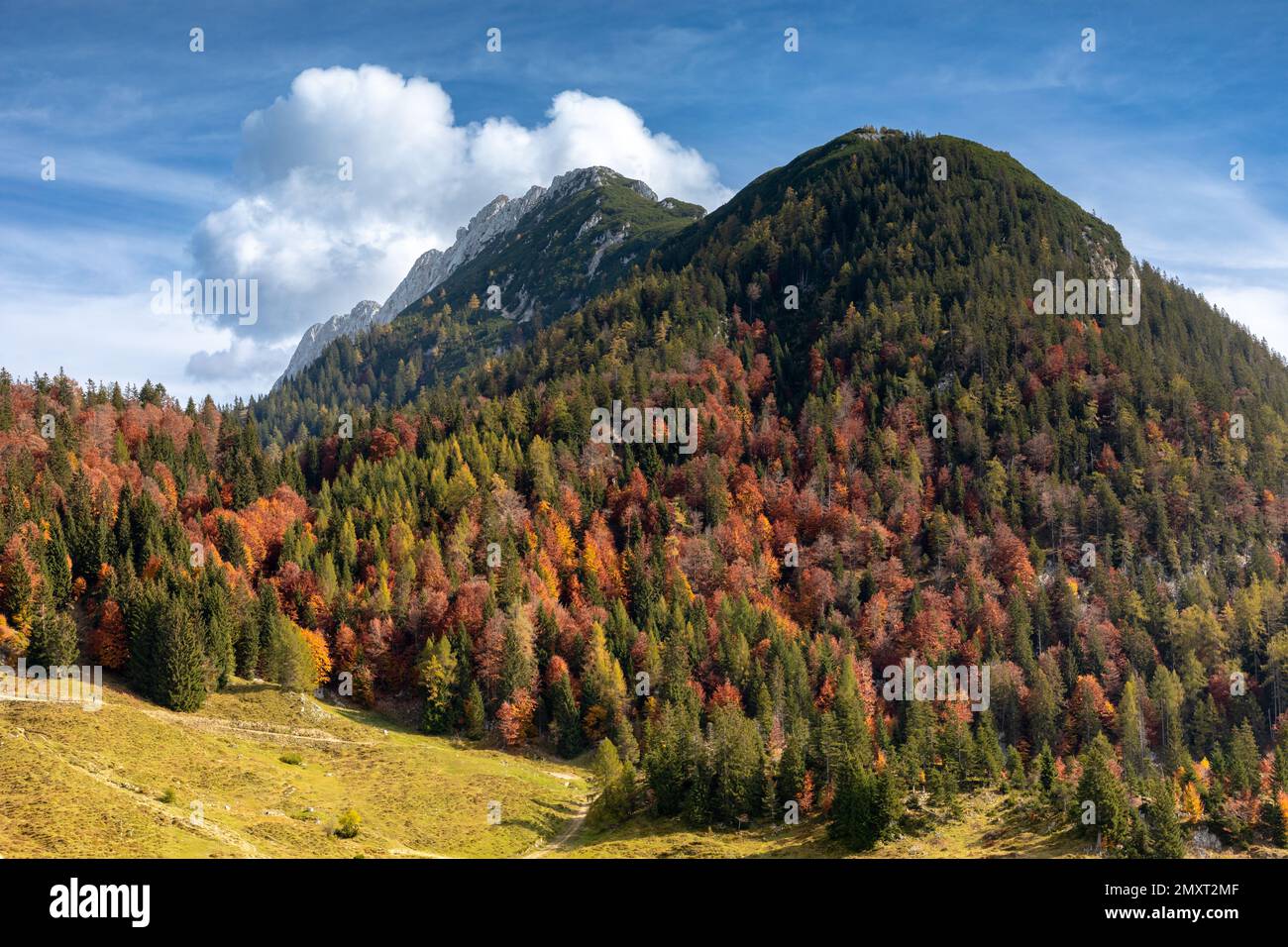 View of Wilder Kaiser mountains from Kreuzbichl mountain near Scheffau ...