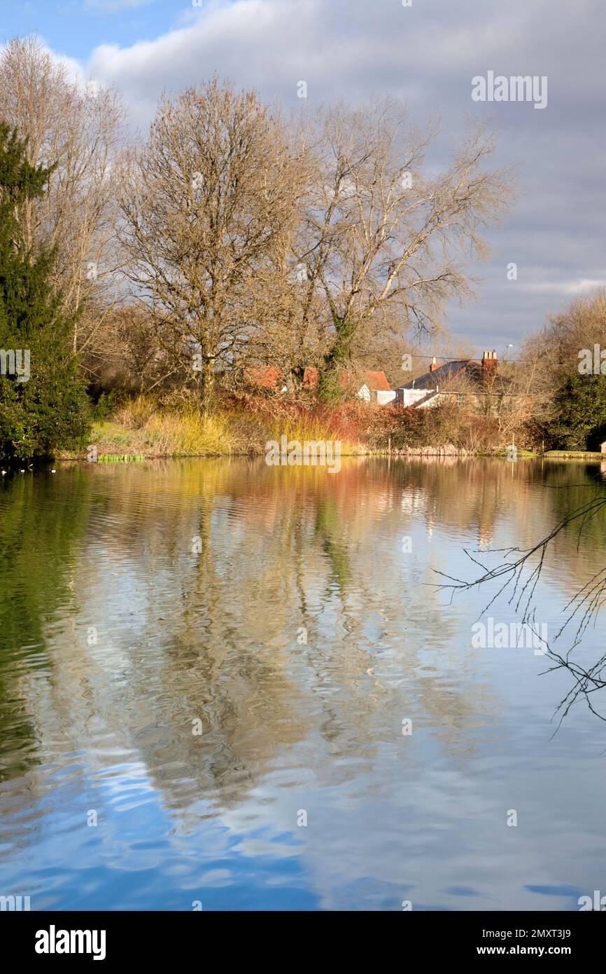 The pond in the small village of Ansty, in the Nadder Valley, Wiltshire ...
