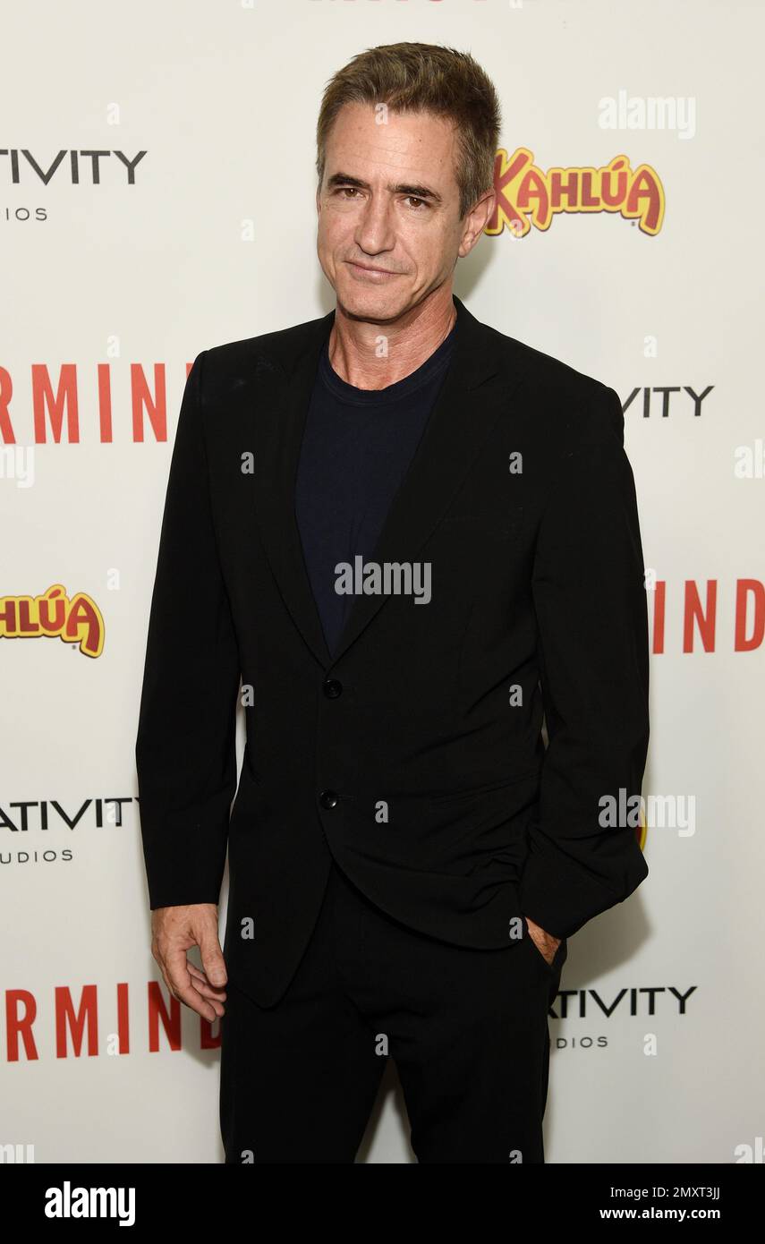 Actor Dermot Mulroney poses at the premiere of the film "Masterminds ...