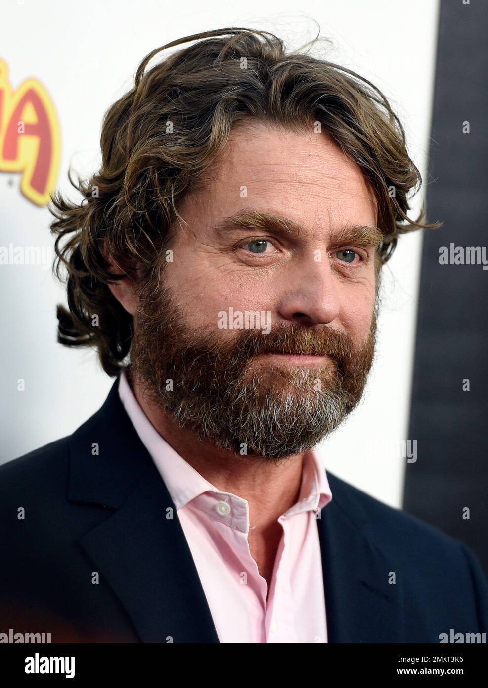 Zach Galifianakis, a cast member in "Masterminds," poses at the ...