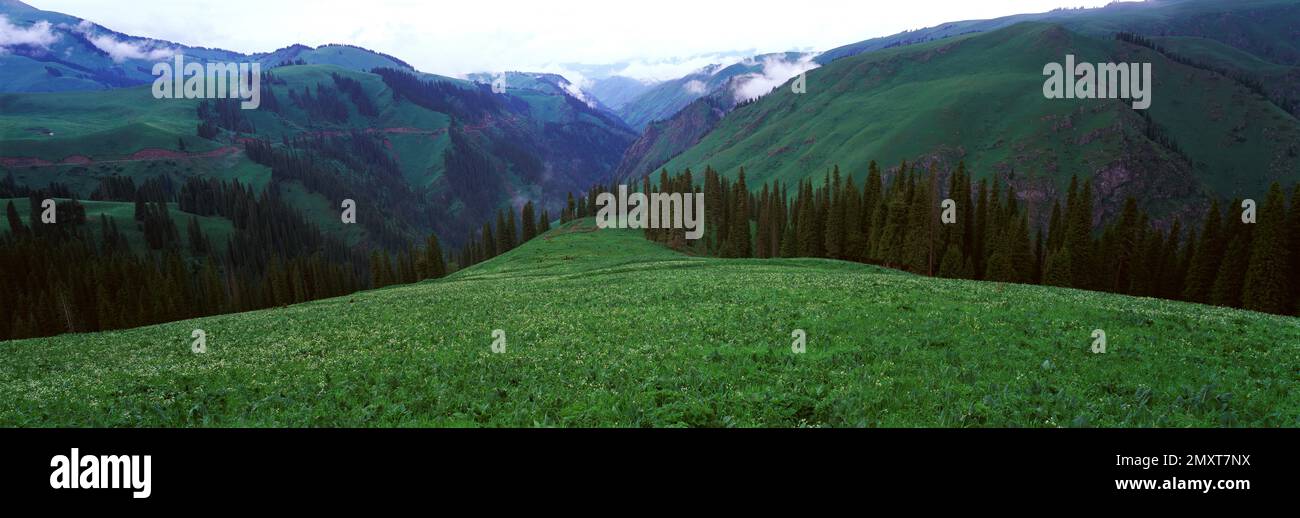 Nalati grassland in xinjiang Stock Photo - Alamy