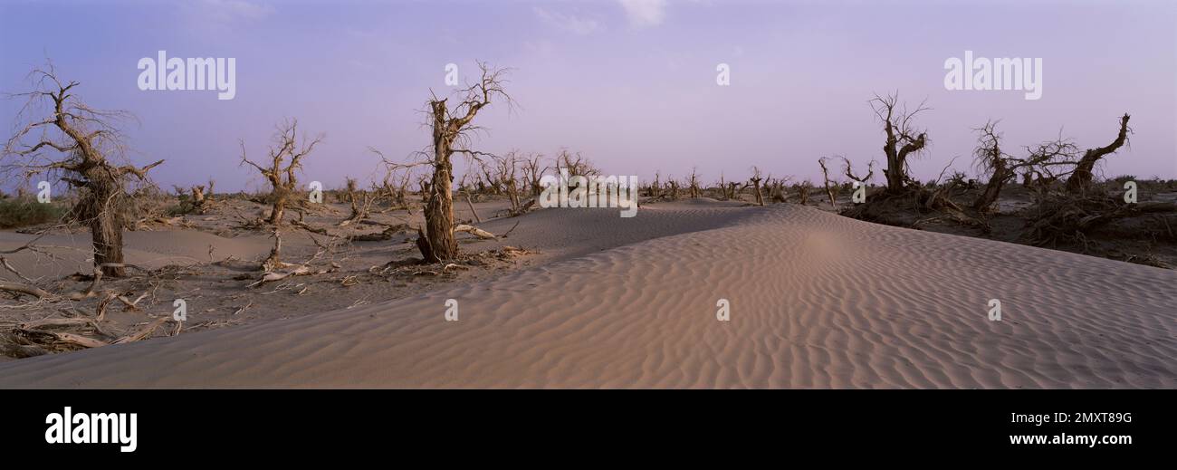 Ancient riverbed hi-res stock photography and images - Alamy