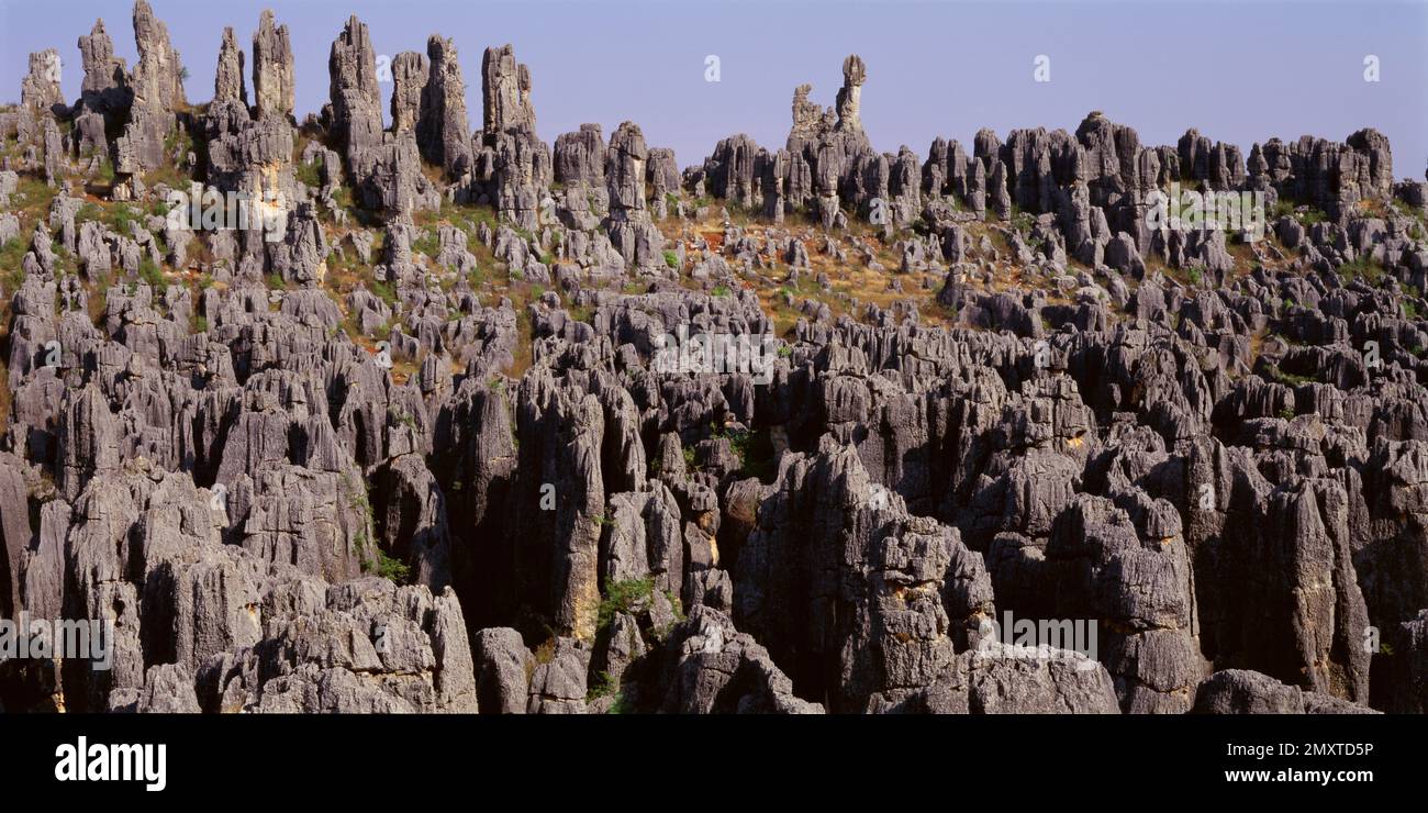 Is the ancient stone forest in yunnan Stock Photo - Alamy
