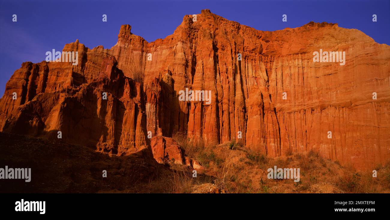 Sesame soil forest in yunnan Stock Photo - Alamy