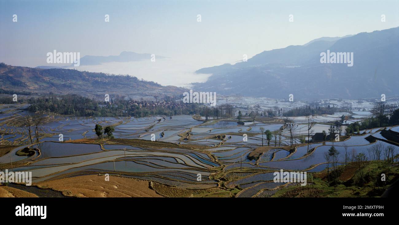 Yunnan yuan Yang terraces Stock Photo - Alamy