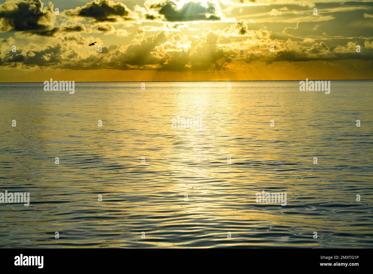 Sunset on tropical beach sea ocean with sunrise clouds. Pacific ocean ...