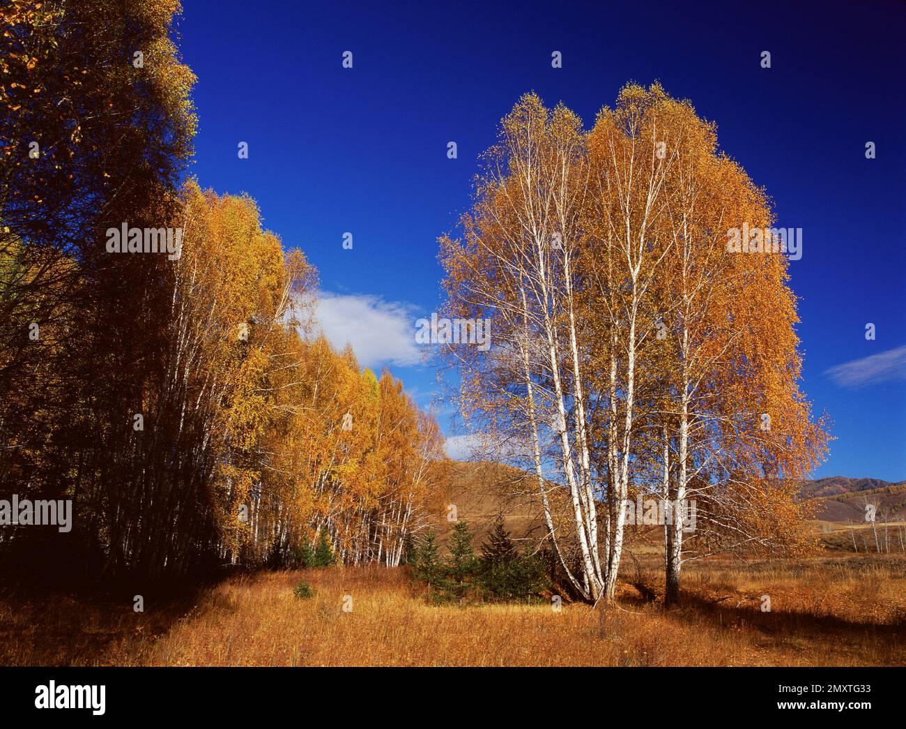 Sino soviet border hi-res stock photography and images - Alamy