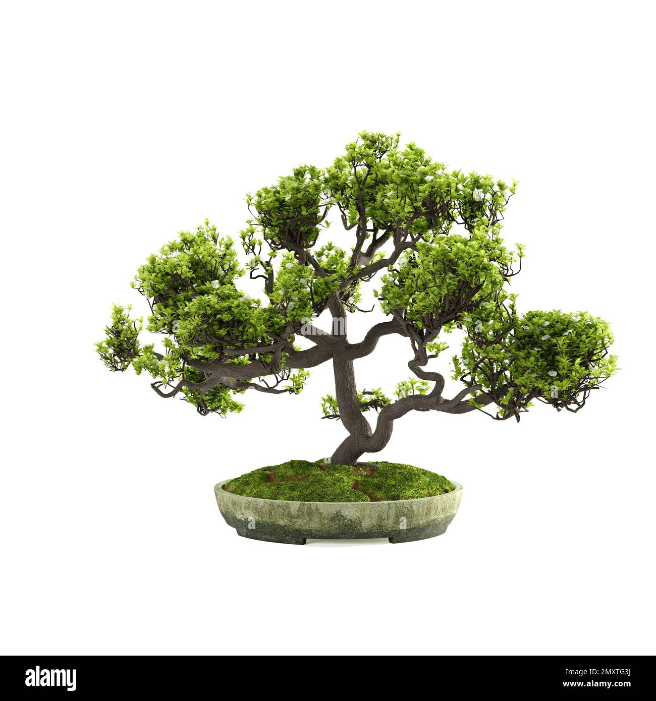 3d digital render pot hi-res stock photography and images - Alamy