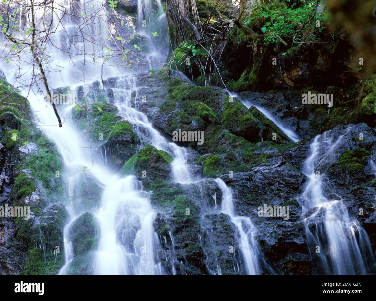 Shennongjia waterfalls hi-res stock photography and images - Alamy